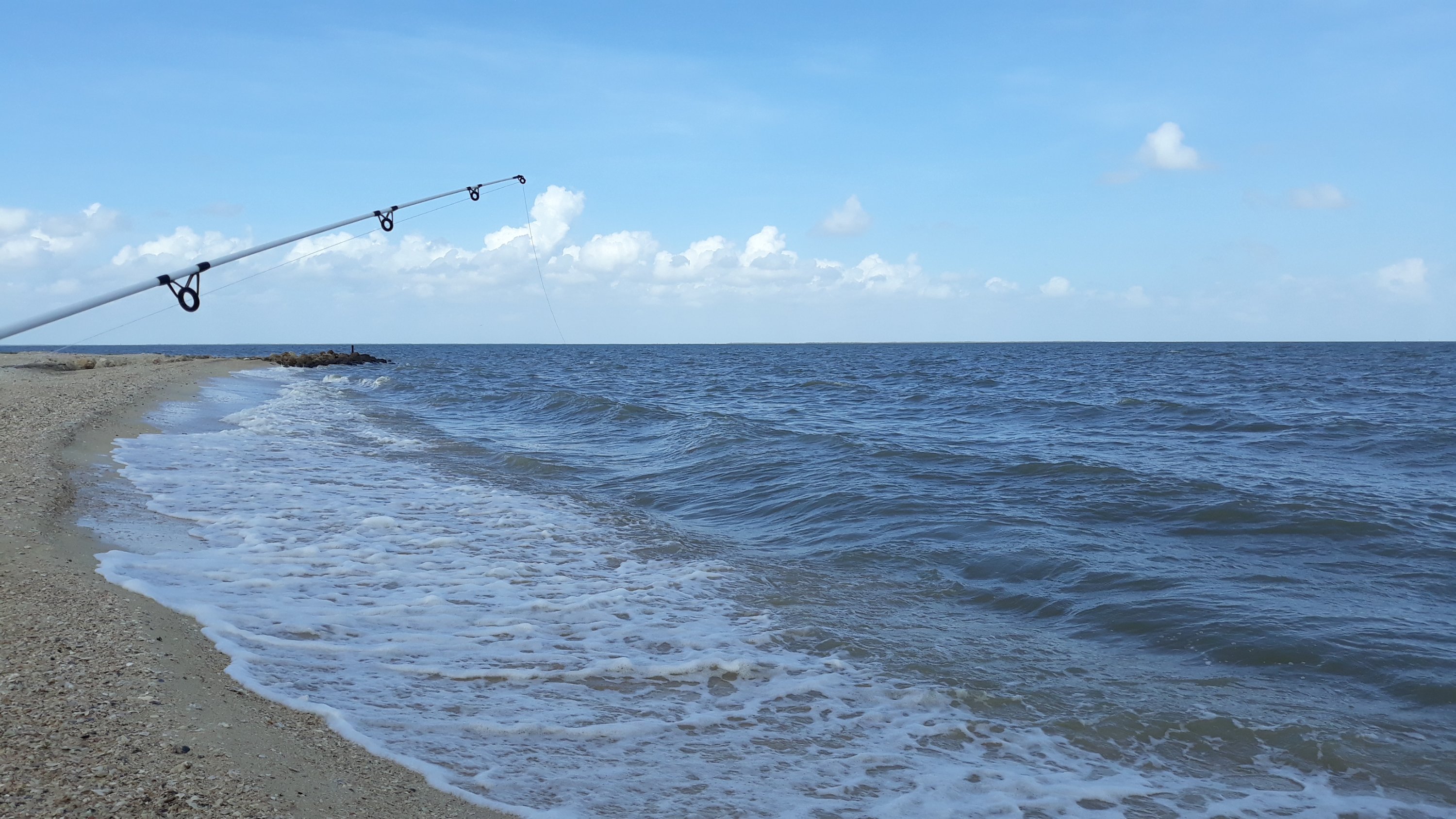 Actively Still – The Text Messages